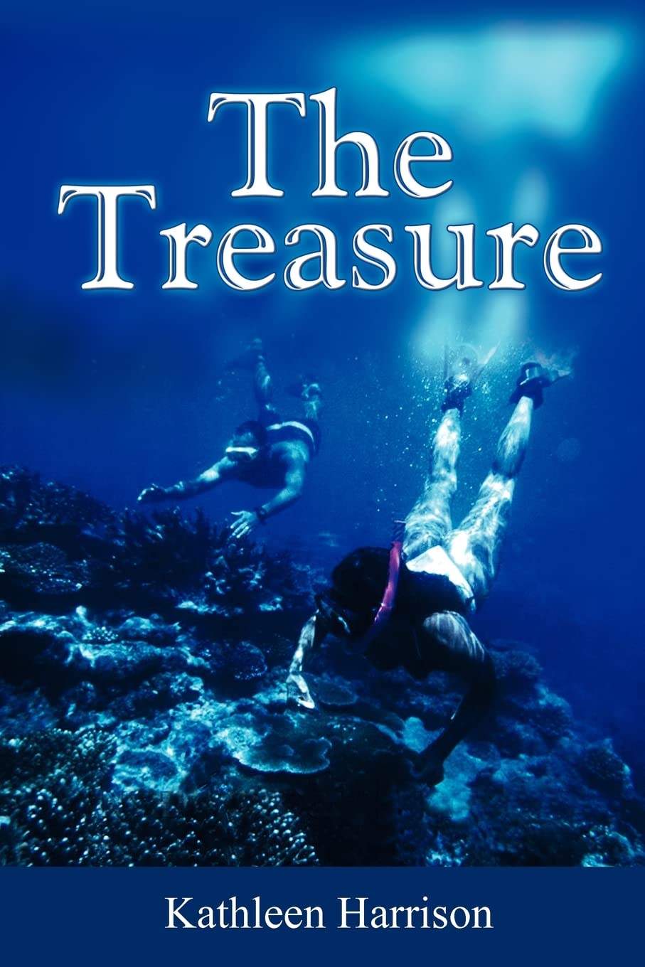 The Treasure: Kathleen Harrison: 9781418497095: Amazon.com: Books