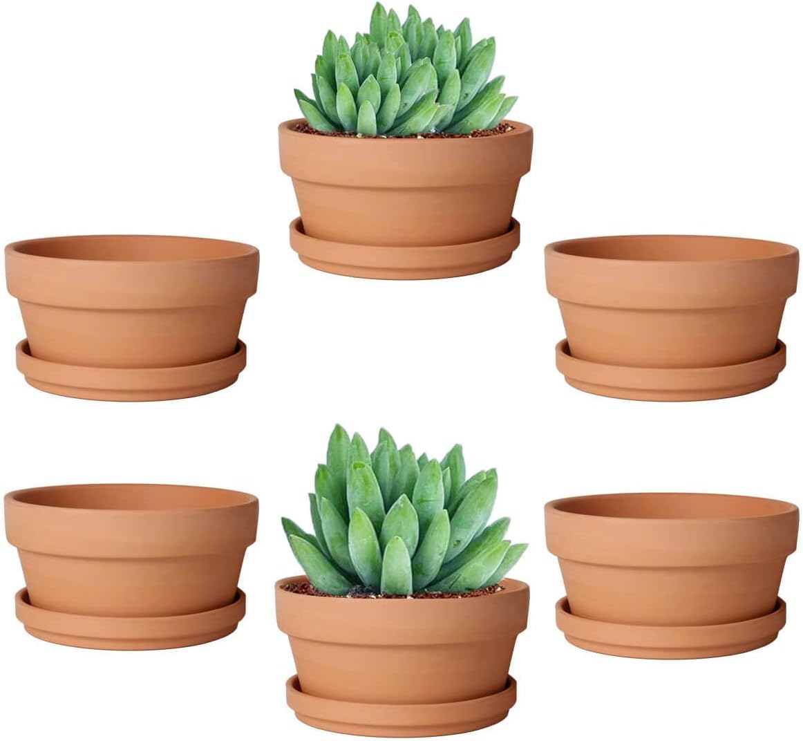 Amazon.com: HERDUK Shallow Terracotta Pots 5 inch, Pack of 6 Clay Pots ...
