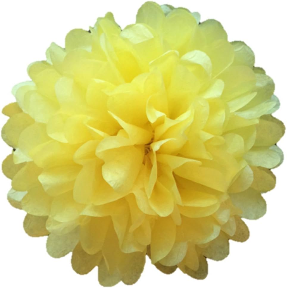 Amazon.com: Pack of 10 Tissue Paper Flower Ball Pom pom Party ...
