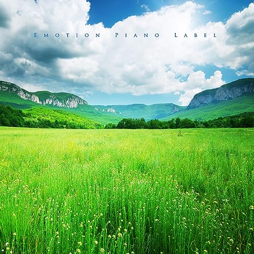 Amazon.com: Meditation New Age Collection Healing Body and Mind ...