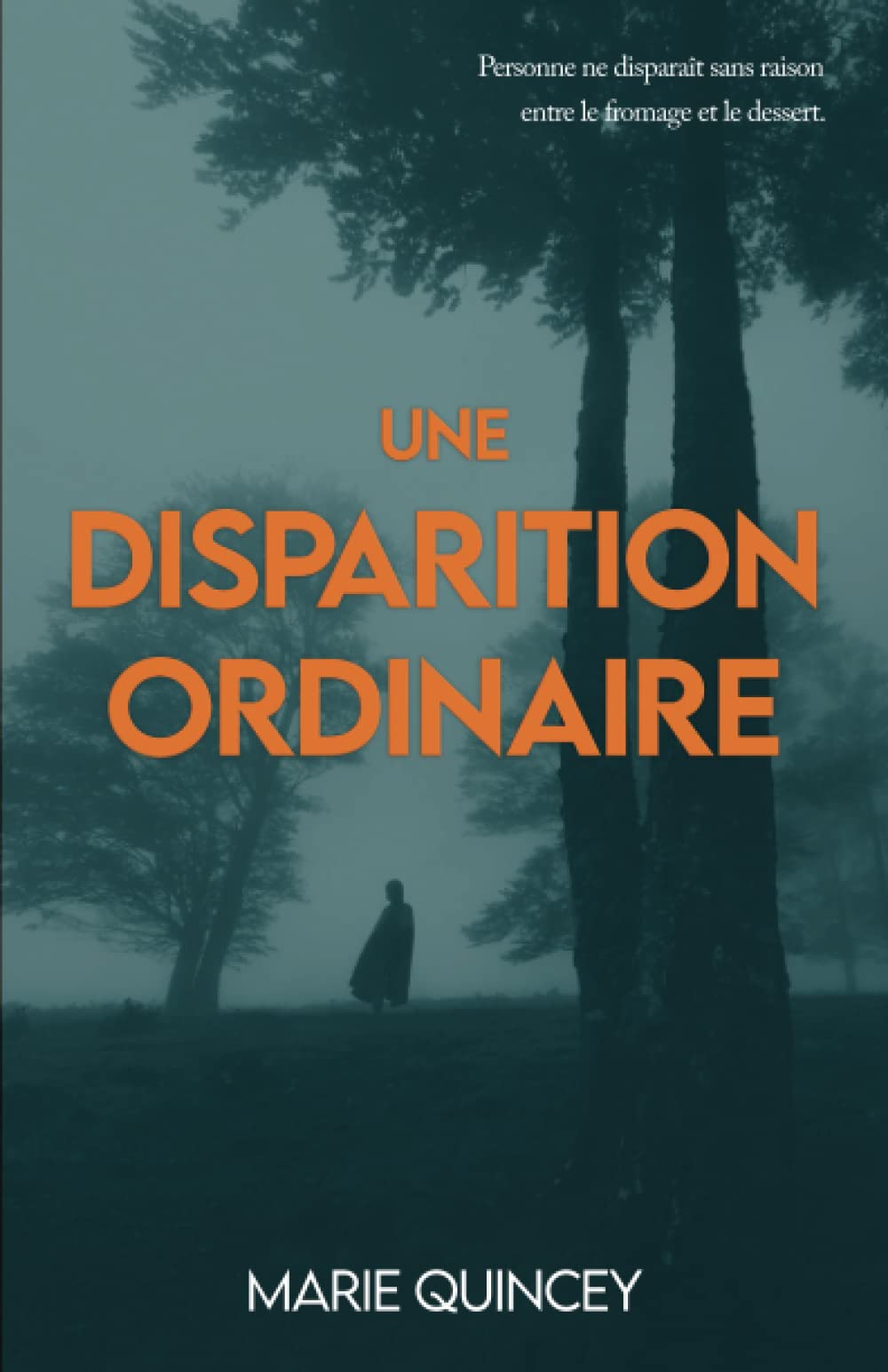 Une Disparition Ordinaire (Les Enquêtes d'Aline & Zora) (French Edition ...