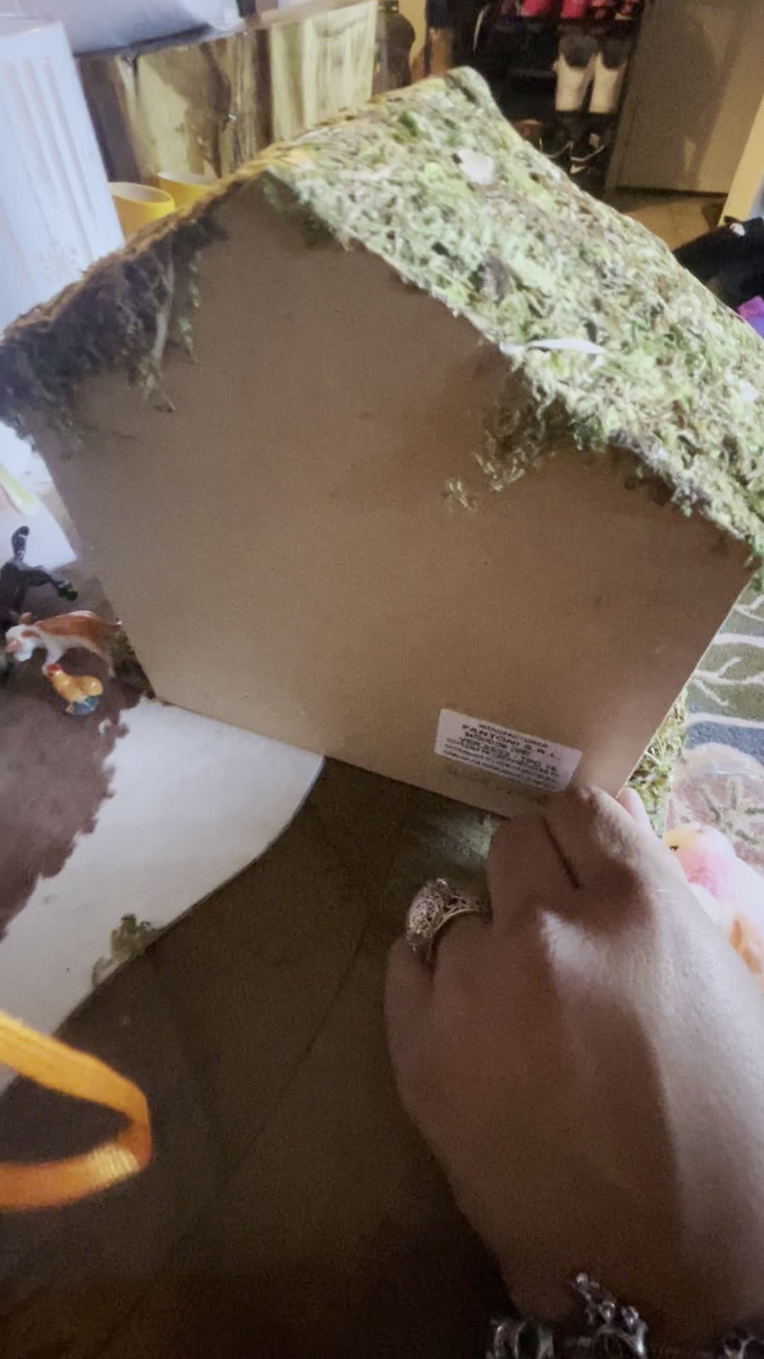 Watch Well….mmmm!!! on Amazon Live