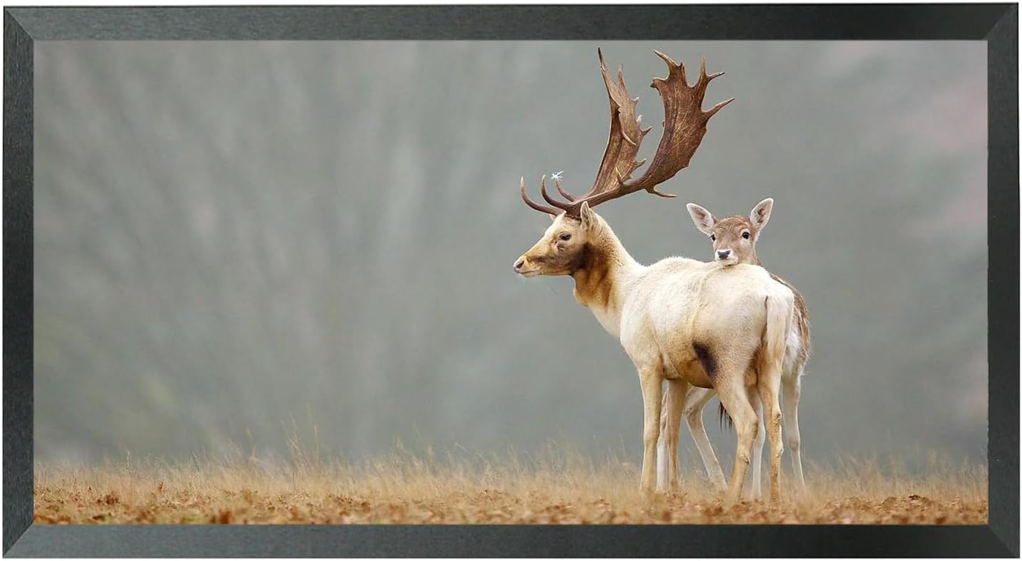 Amazon.com - Mxtallup 10x21 Picture Frame Solid Wood 10x21 Poster Frame ...