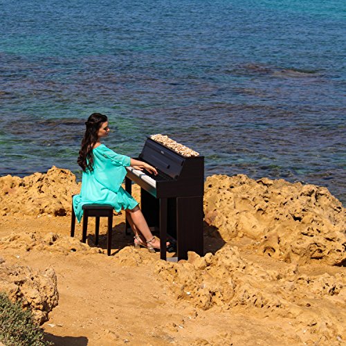 My Heart Will Go On by Yuval Salomon on Amazon Music - Amazon.com