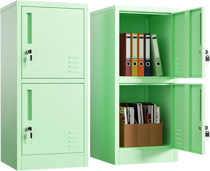 Amazon.com: BAVNNRO 2 Door Metal Locker Storage Cabinet with Locking ...