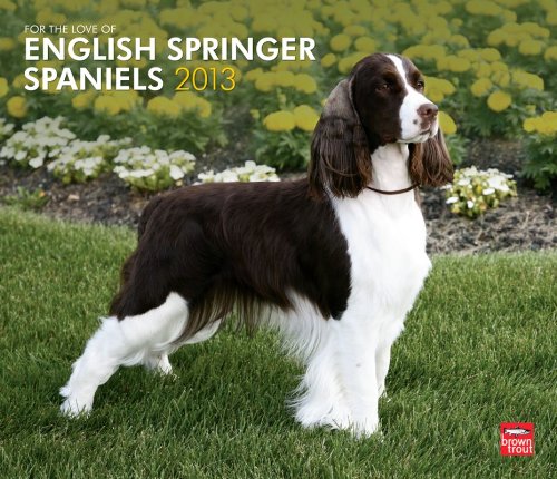 For the Love of English Springer Spaniels 2013 Calendar: NOT A BOOK ...