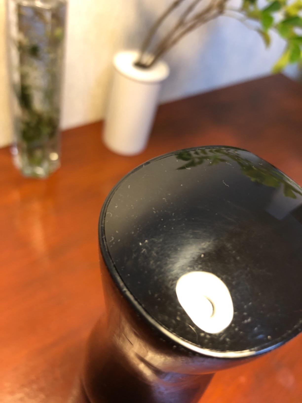 Amazon.co.jp: Panavage エアリーミスト スプレー 連続散水 小さい噴霧器 髪 植物 ペット用 - 黒い : DIY・工具・ガーデン