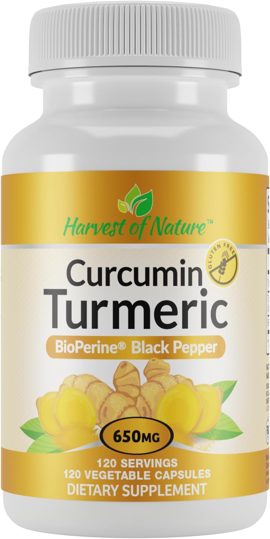 Amazon.com: Turmeric Forte : Health & Household