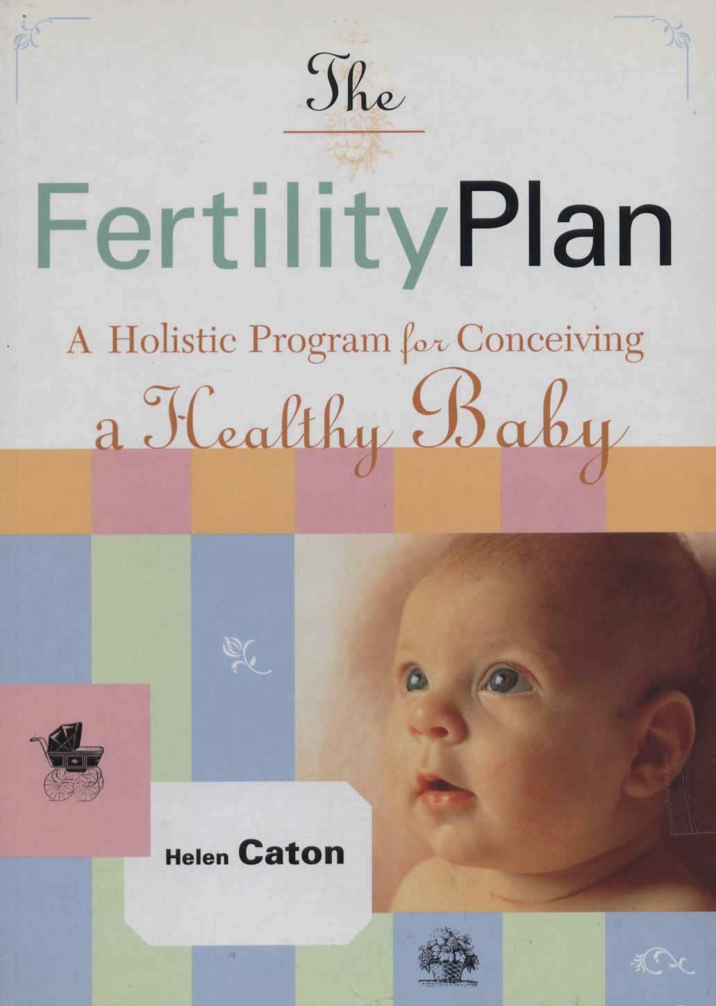 The Fertility Plan: A Holistic Program to Conceiving a Healthy Baby ...