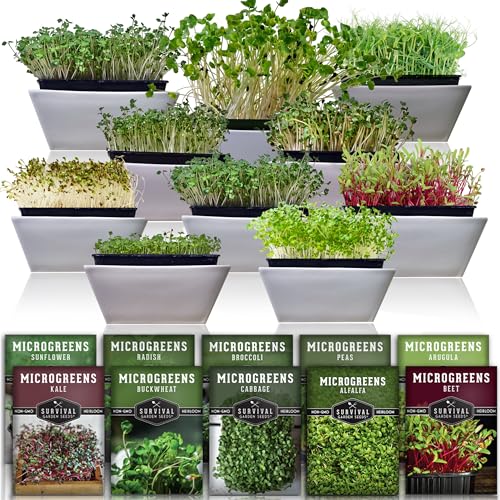 Creative Recipes Using Your Microgreens: Elevate Your Dishes Easily ...