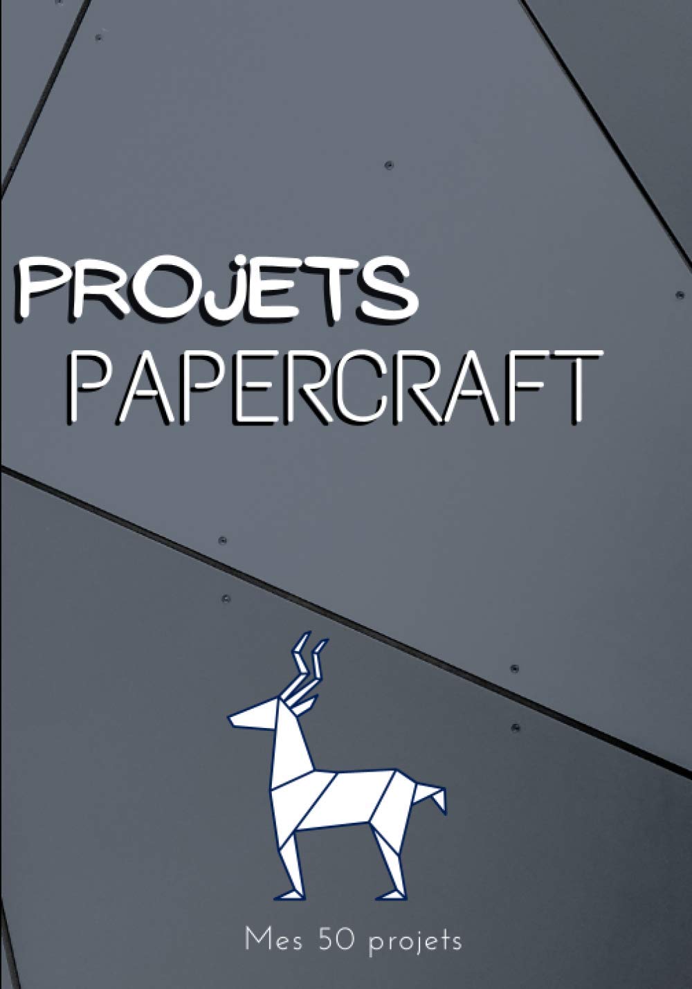 Projets Papercraft: 50 Fiches pré-remplies pour noter ses projets de ...