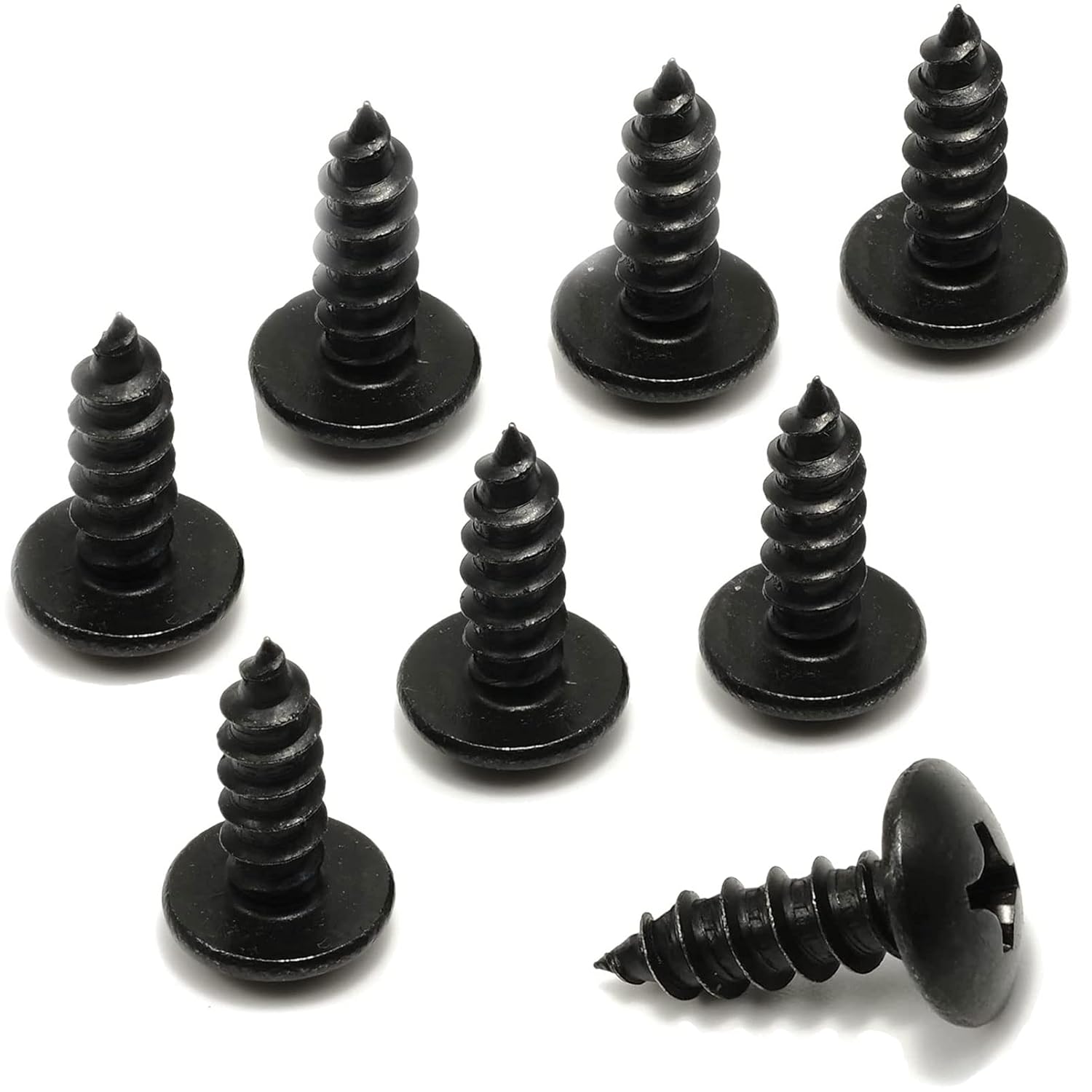 Amazon.com: Black License Plate Screws Kit - Set of 8 Stainless License ...