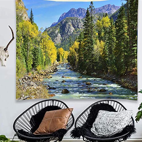 The 29 Best Outdoor Tapestries of 2024 [Verified] - Cherry Picks