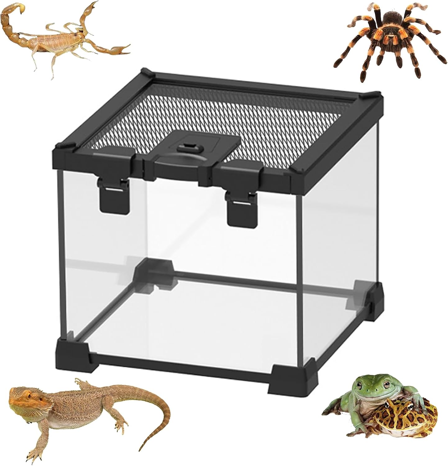 AFGSsm Reptile tank, Glass Reptile Terrariums, Glass Terrarium Kit ...