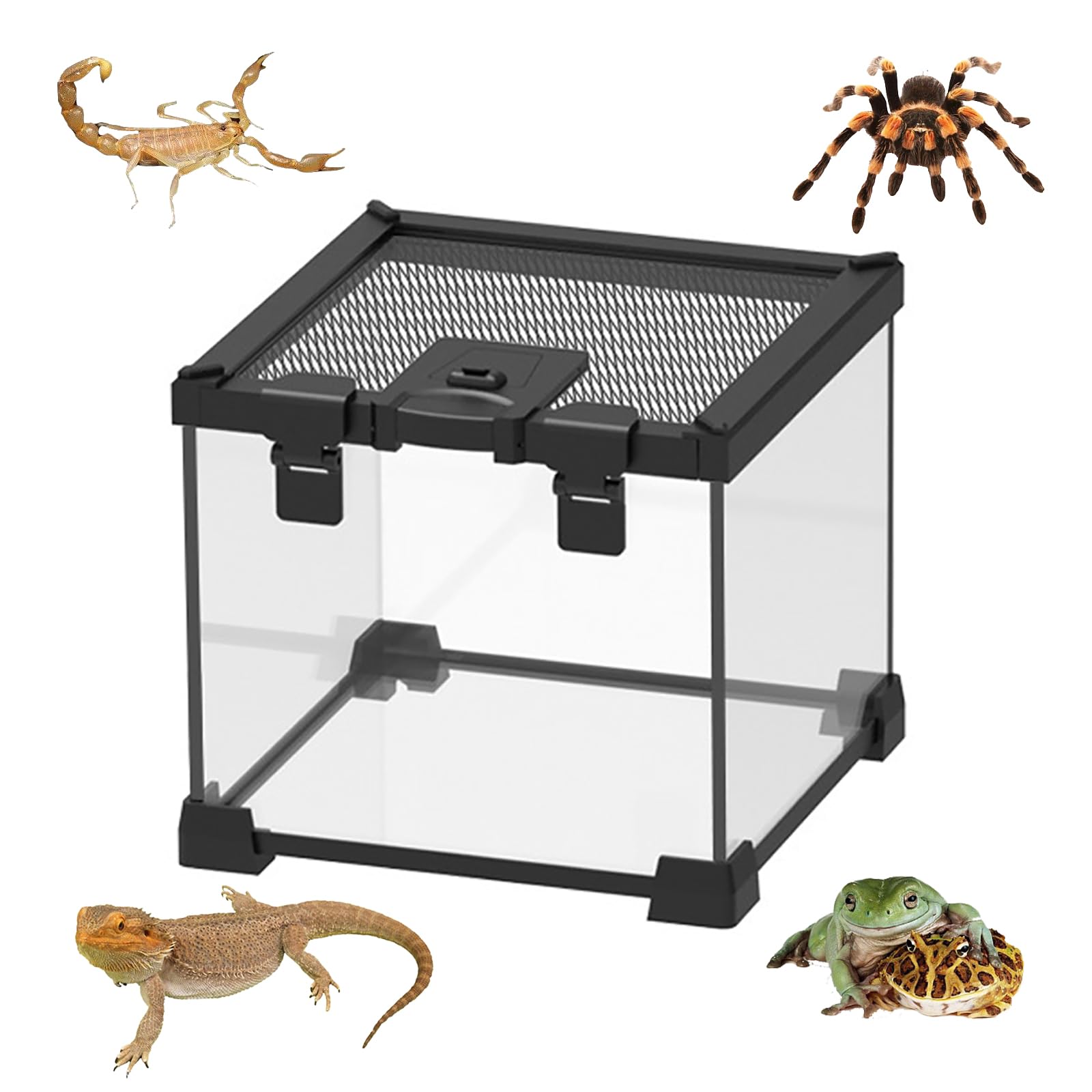 AFGSsm Reptile tank, Glass Reptile Terrariums, Glass Terrarium Kit ...