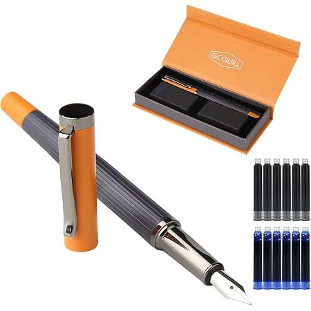 Set penna stilografica - Pennino fine con 12 cartucce d'inchiostro e ...