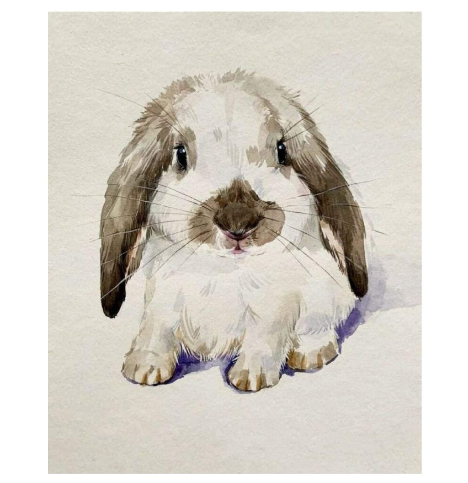 Rabbit Acrylic Painting
