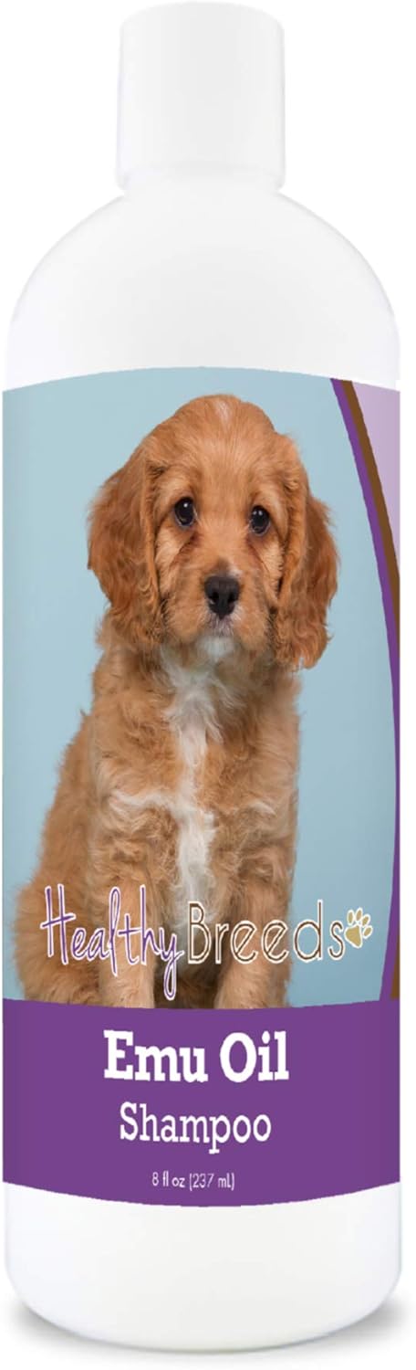 Amazon.com: Healthy Breeds Cavapoo Emu Oil Shampoo 8 oz