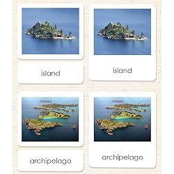 What Are Montessori 3 Part Cards?