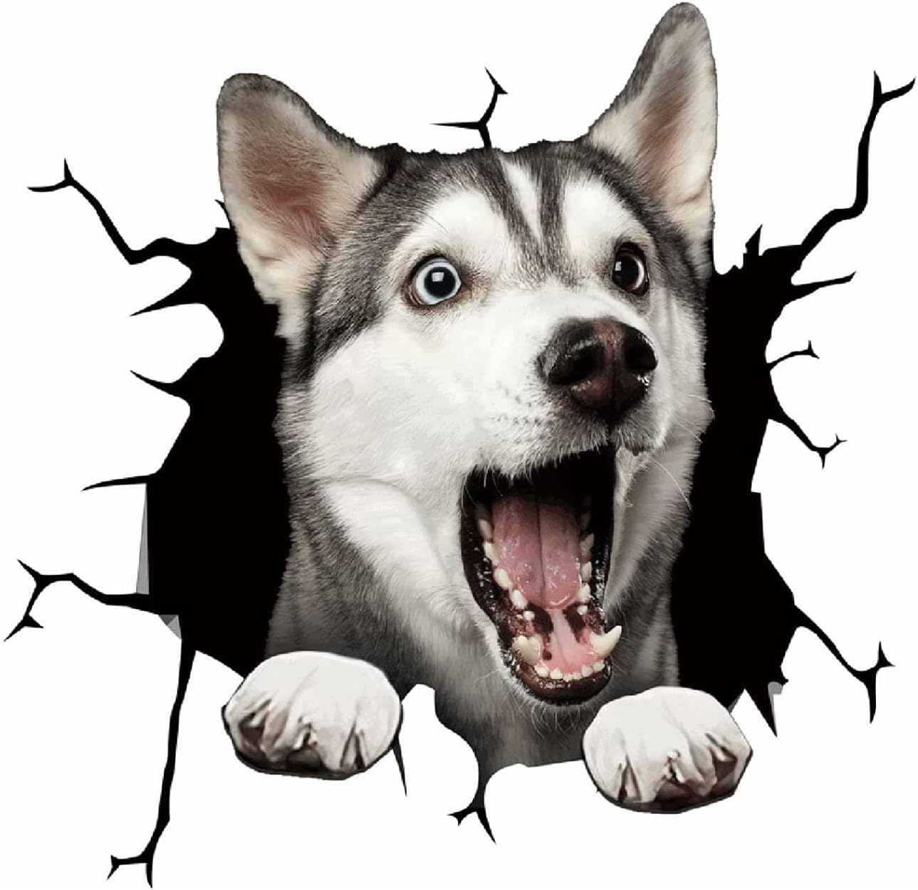 ButterFox earphonesCar Crack Decals Pet Stickers Realistic Animal Funny ...