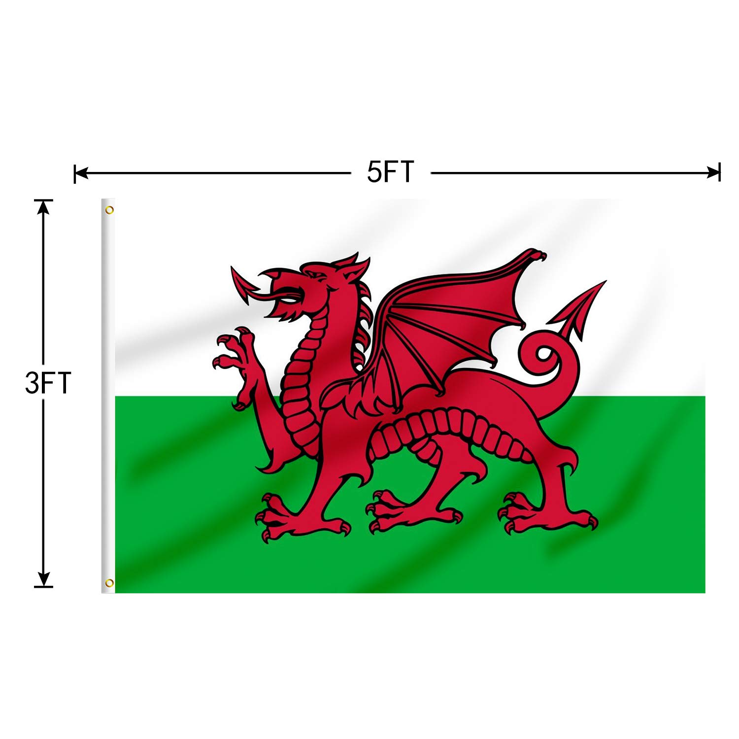 FLAGBURG Welsh Flag 3×5 FT The Red Dragon Flag with Print Vivid Color ...