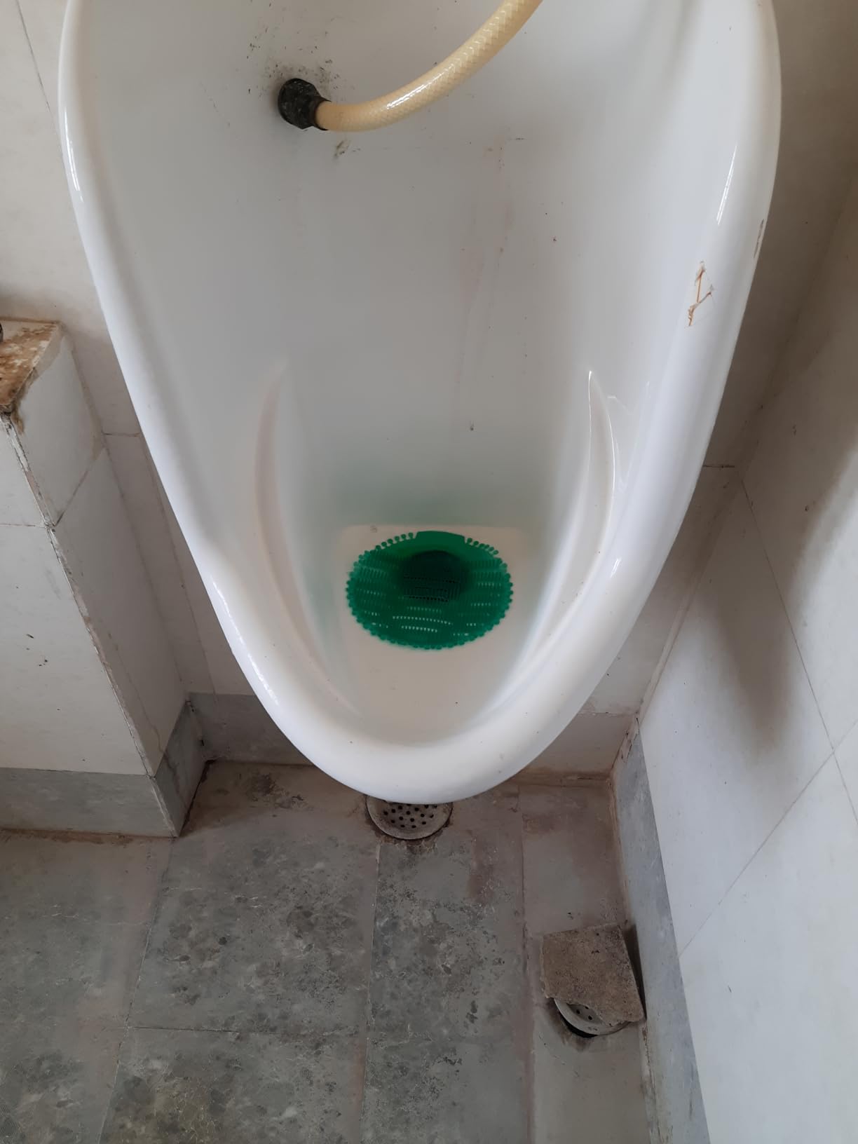 Fresh n Clean Urinal Screen Mat - 10 Pcs Set (Exciting New Fragrances ...