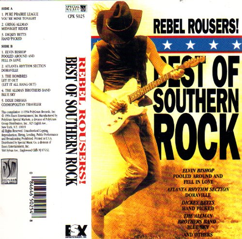 Amazon.com: Rebel Rousers-Best of Southern: CDs & Vinyl