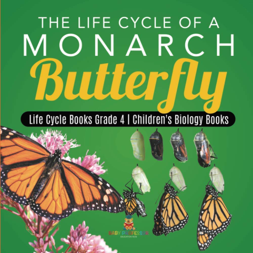 Buy The Life Cycle of a Monarch Butterfly Life Cycle Books Grade 4 ...