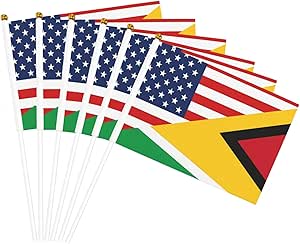 Amazon.com : Hand Held America Flag And Guyana Guyanese Flag, 6 Pcs ...
