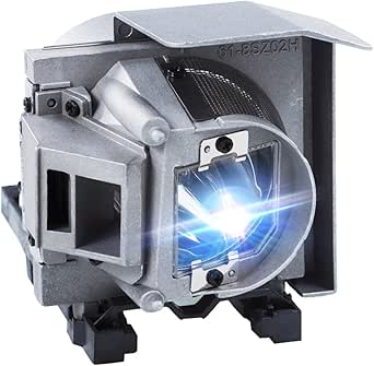 Amazon.com: JISIZKY 1020991 Replacement Module Lamp Bulb with Housing ...