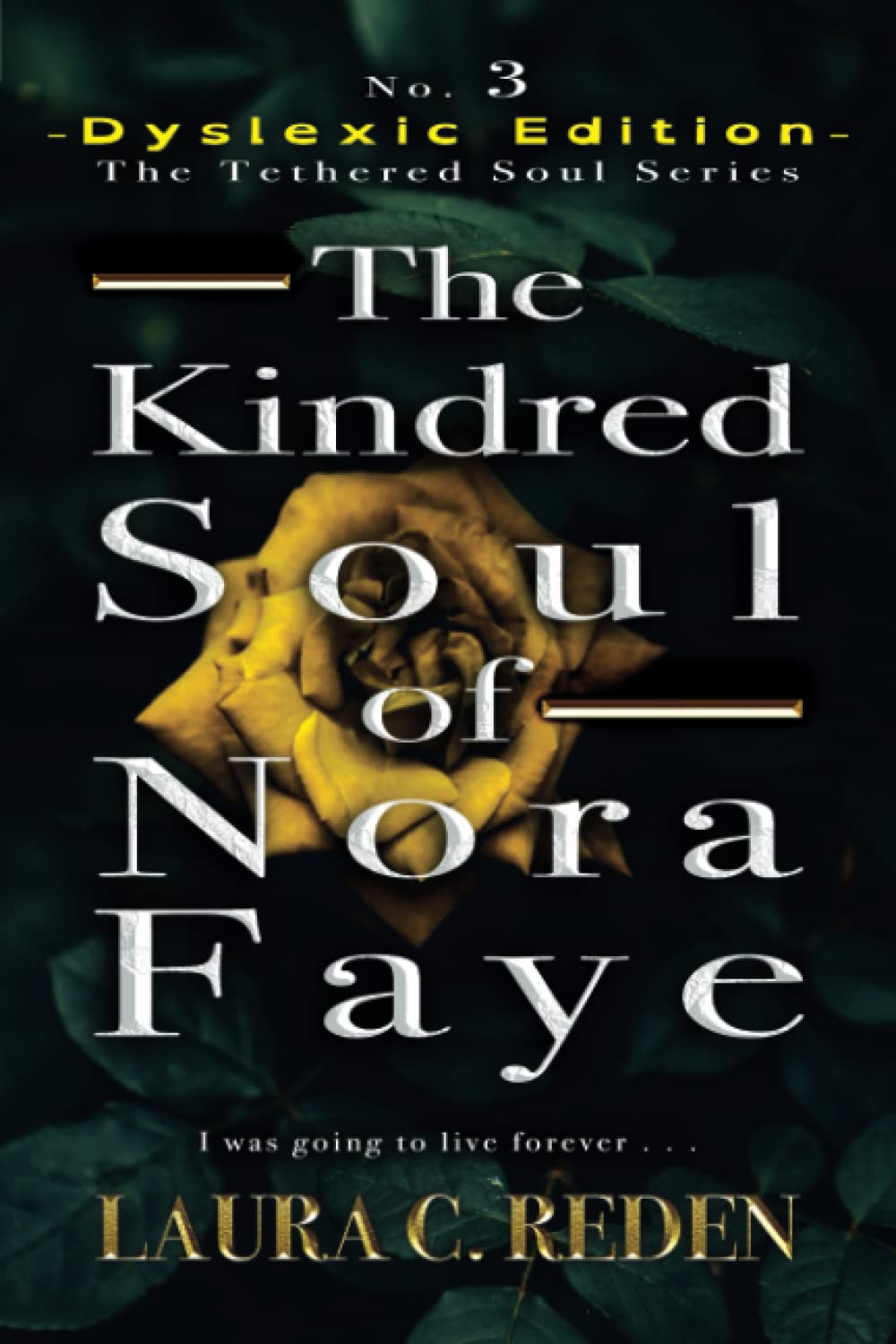The Kindred Soul of Nora Faye: (Dyslexic Edition) The Tethered Soul ...