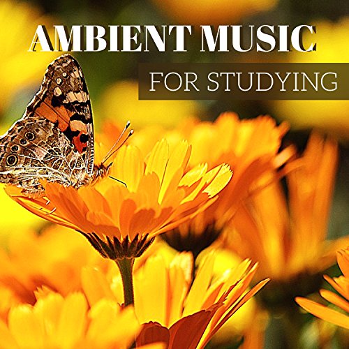 Amazon.com: Ambient Music for Studying - Calming Concentration Music to ...