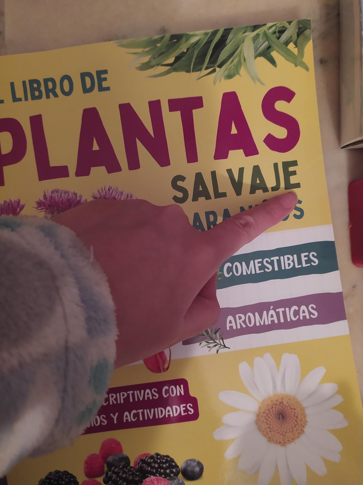 El libro de plantas salvaje para niños: Guía y actividades sobre ...