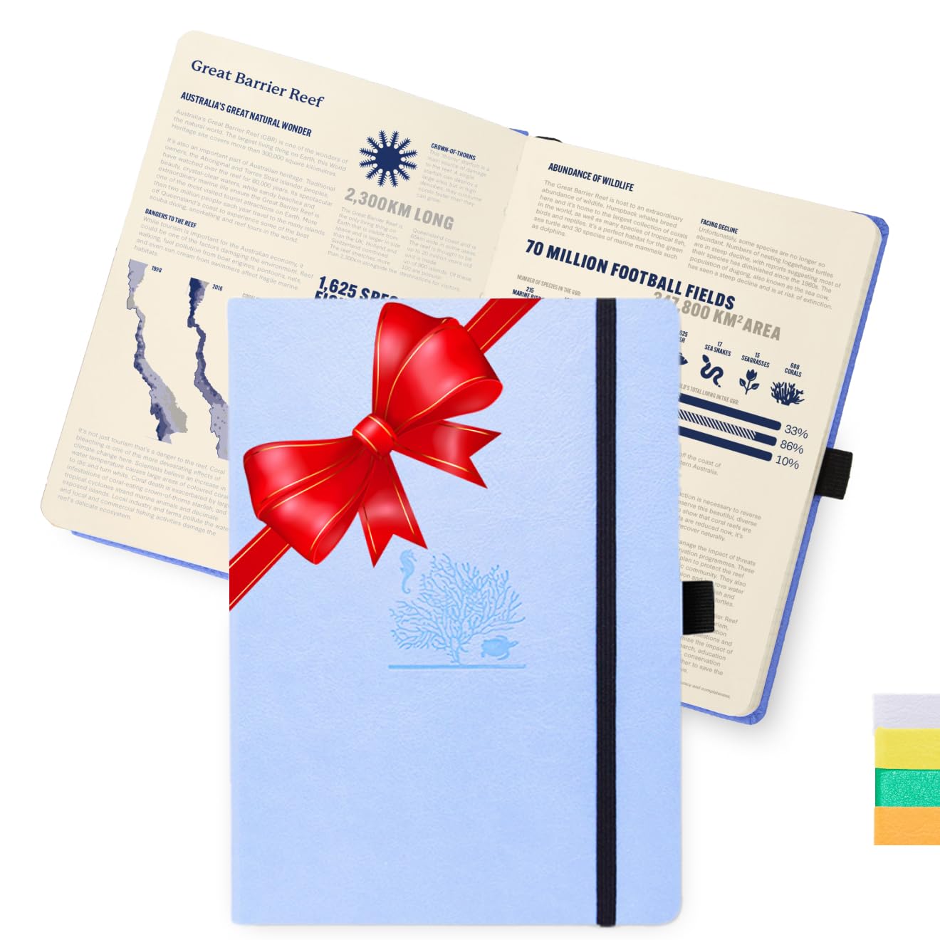 Dingbats Earth Dotted A5 Medium Notebook Sky Blue Great Barrier ...