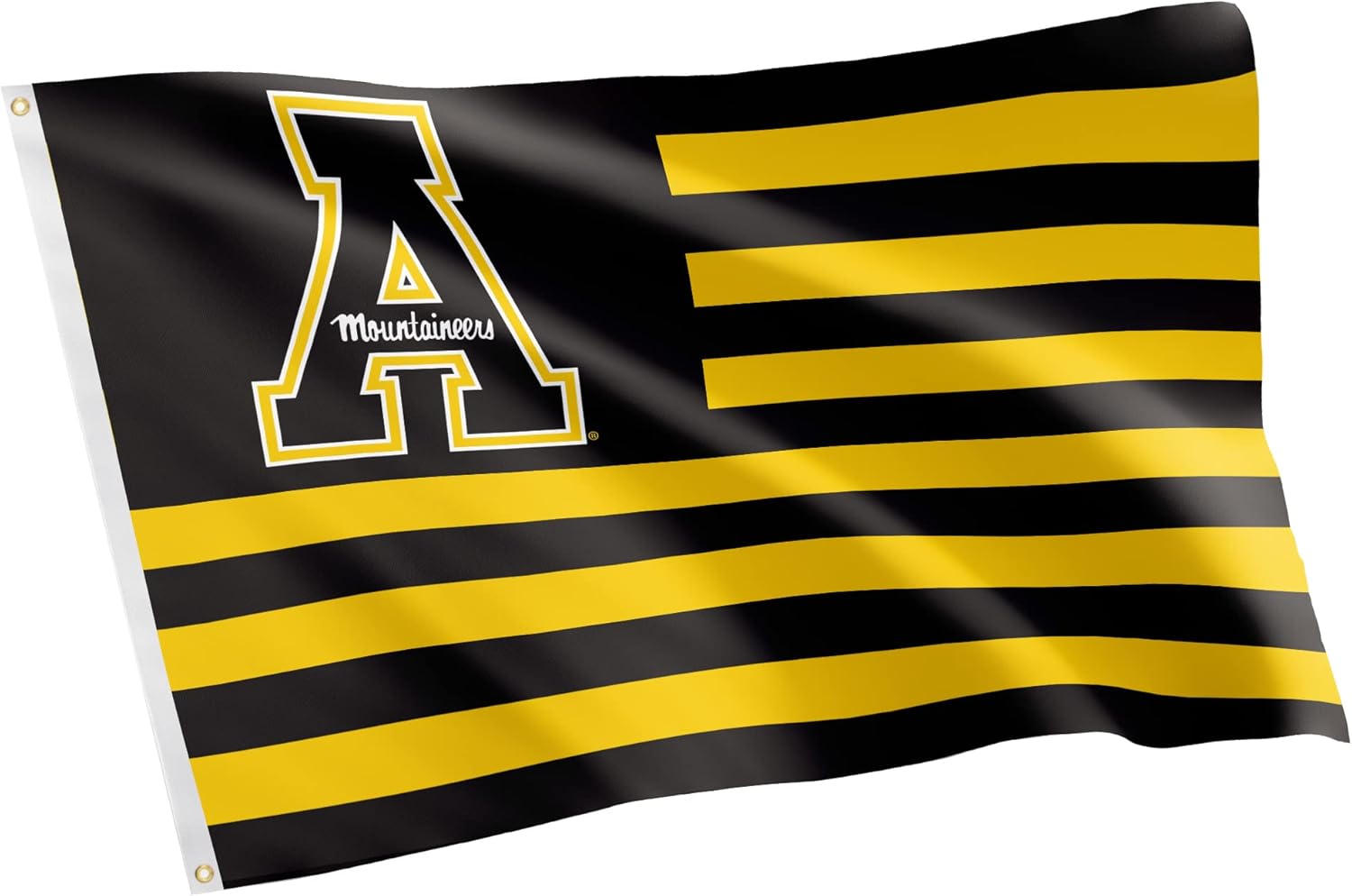 Amazon.com : Desert Cactus Appalachian State University Indoor and ...