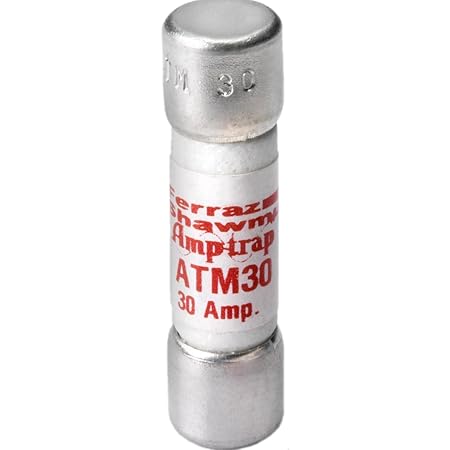Mersen ATM30 600V 30A Midget Fuse, 10-Pack - Plug Fuses - Amazon.com