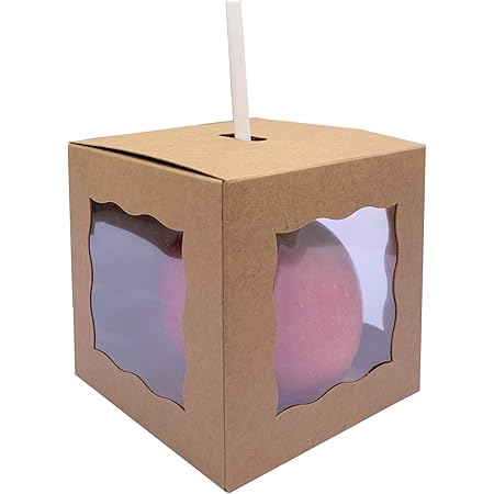 Amazon.com: Yahenda 60 Pcs Kraft Candy Apple Boxes with Hole and Stick ...