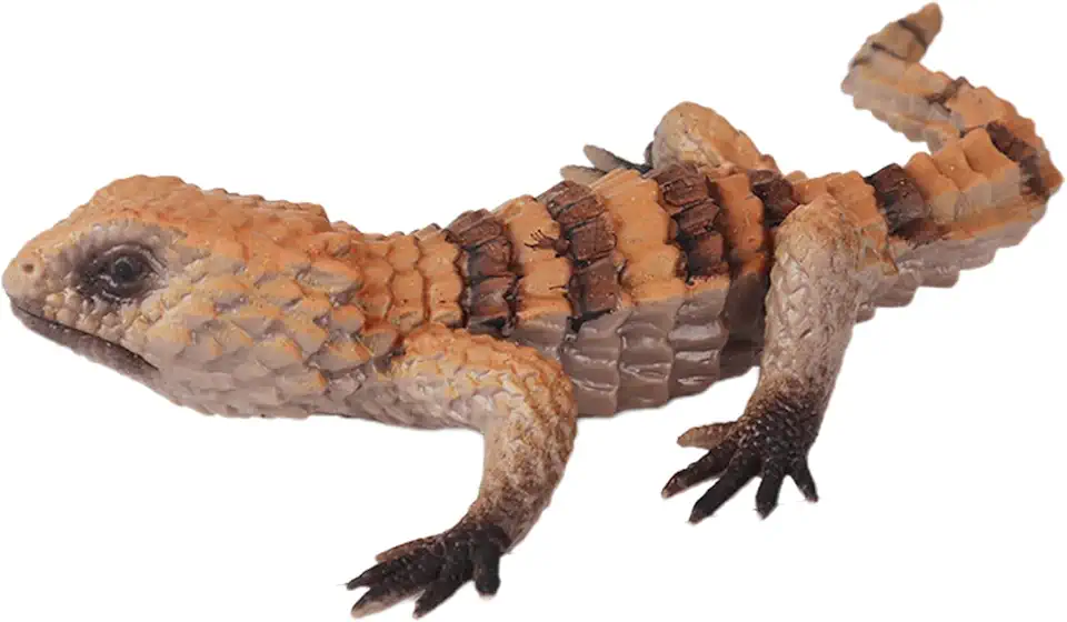 The Cost Of Owning An Armadillo Lizard: What You Need To Know | PetShun