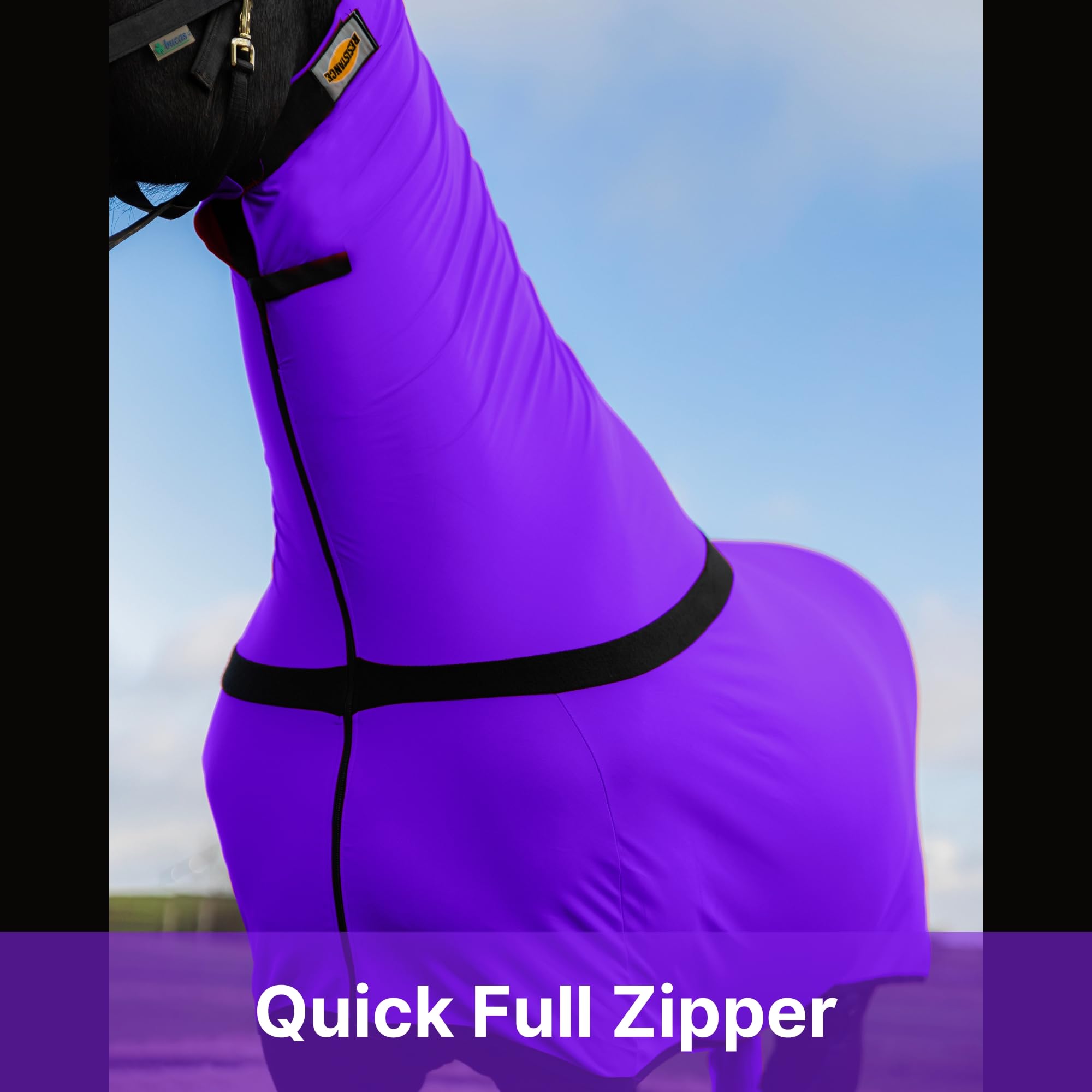 Snapklik.com : RESISTANCE Premium Horse Sleazy Full Body Slicker