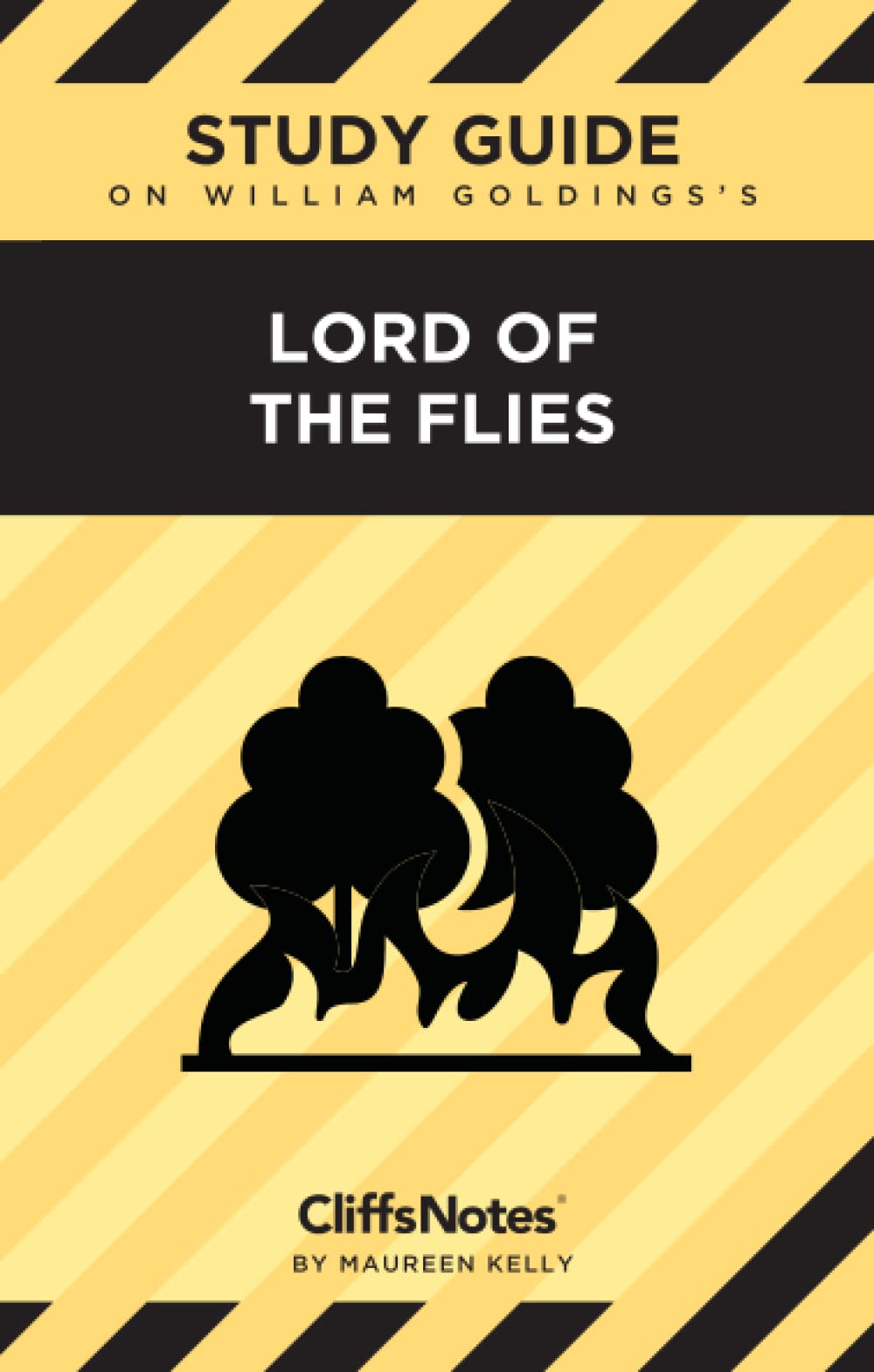 Snapklik.com : CliffsNotes On Goldings Lord Of The Flies: Literature Notes