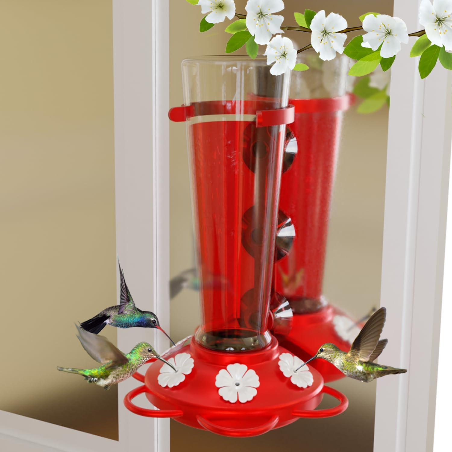 Amazon.com : Hummingbird Window View Feeder Jewel Box Suction Cups Bird ...