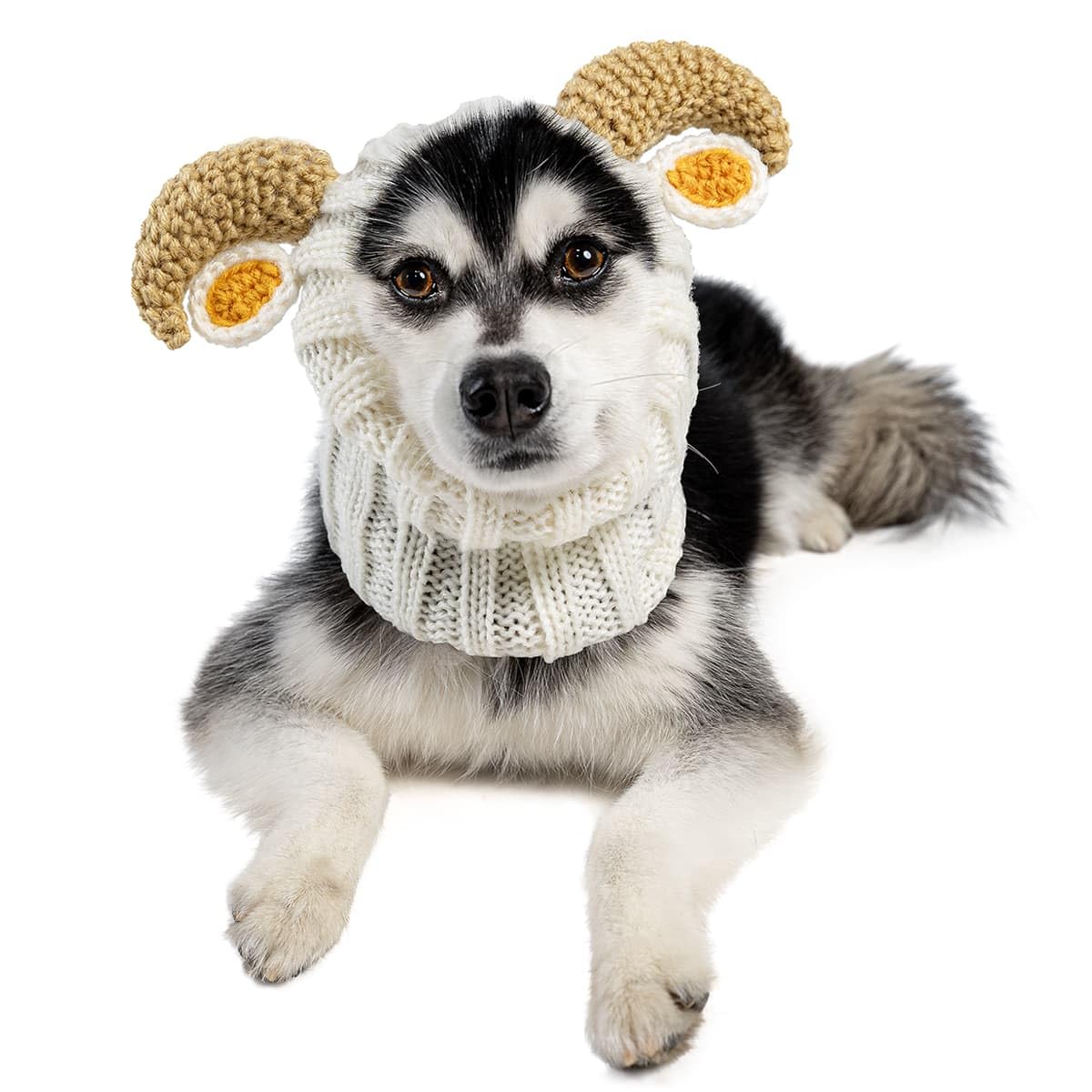 Amazon.com : Zoo Snoods Ram Goat Costume - Warm Knit Dog Snood Wrap for ...
