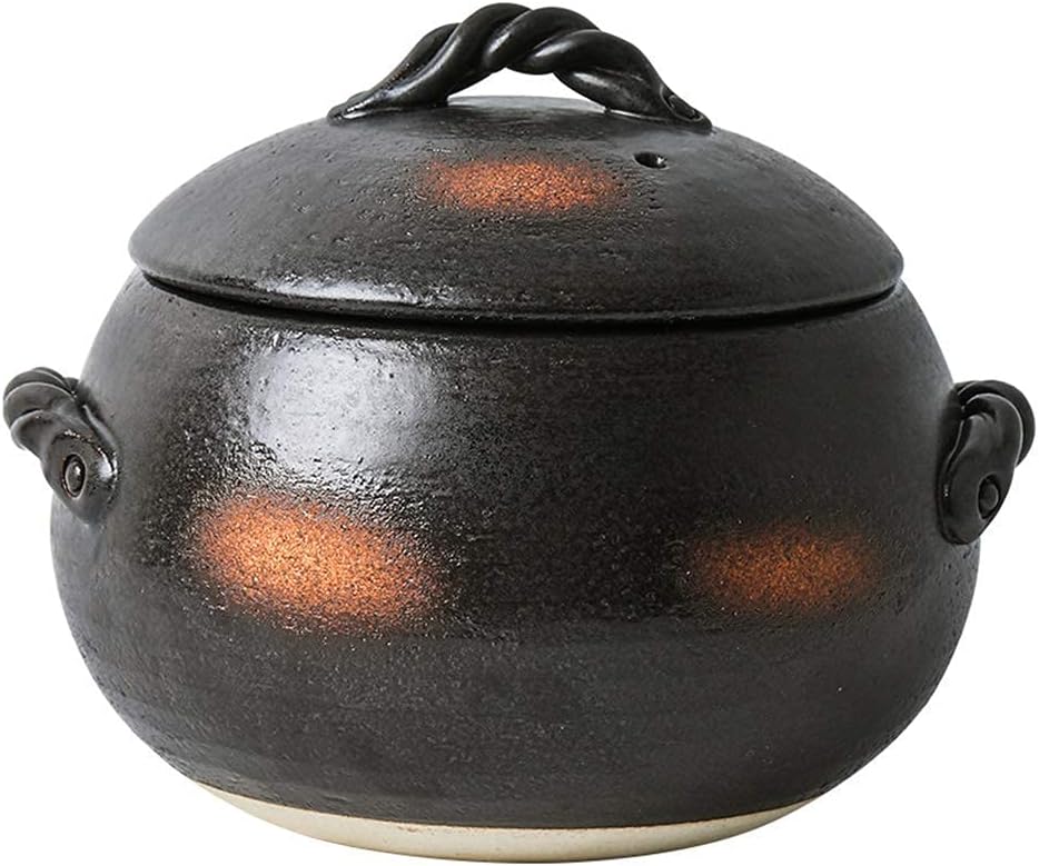 Amazon.com: Ceramic cooking pot Kitchen Stoneware Casserole Dish ...