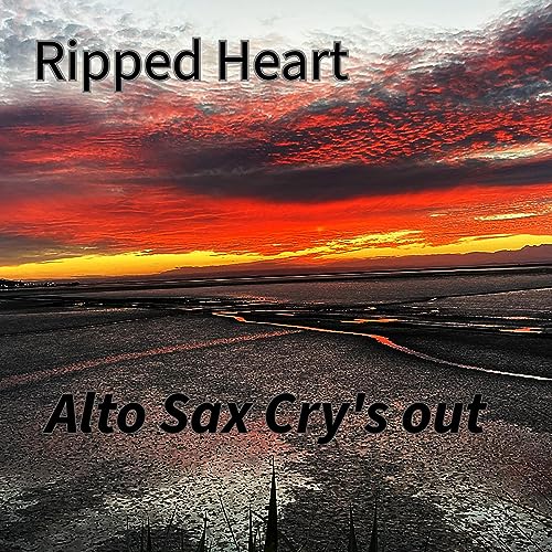 Play Ripped Heart by Simon Williams on Amazon Music