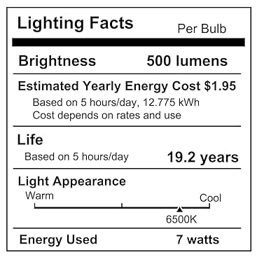 BSOD Rechargeable Light Bulbs with Remote, Battery Operated Light Bulb ...