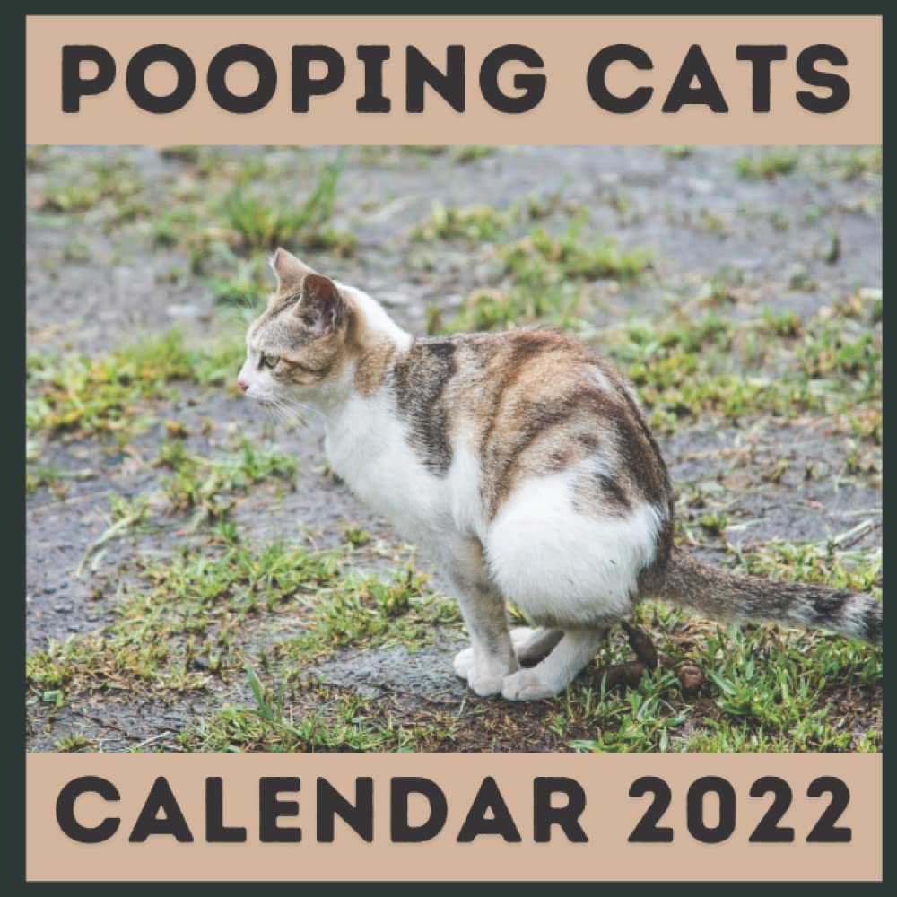 Buy Pooping Cats 2022: Funny - Pooping Animal | 12 Month - Cool Poop ...