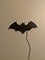 Amazon.com: Paladone Batman Eclipse Batsignal Light - Table Top or Wall ...