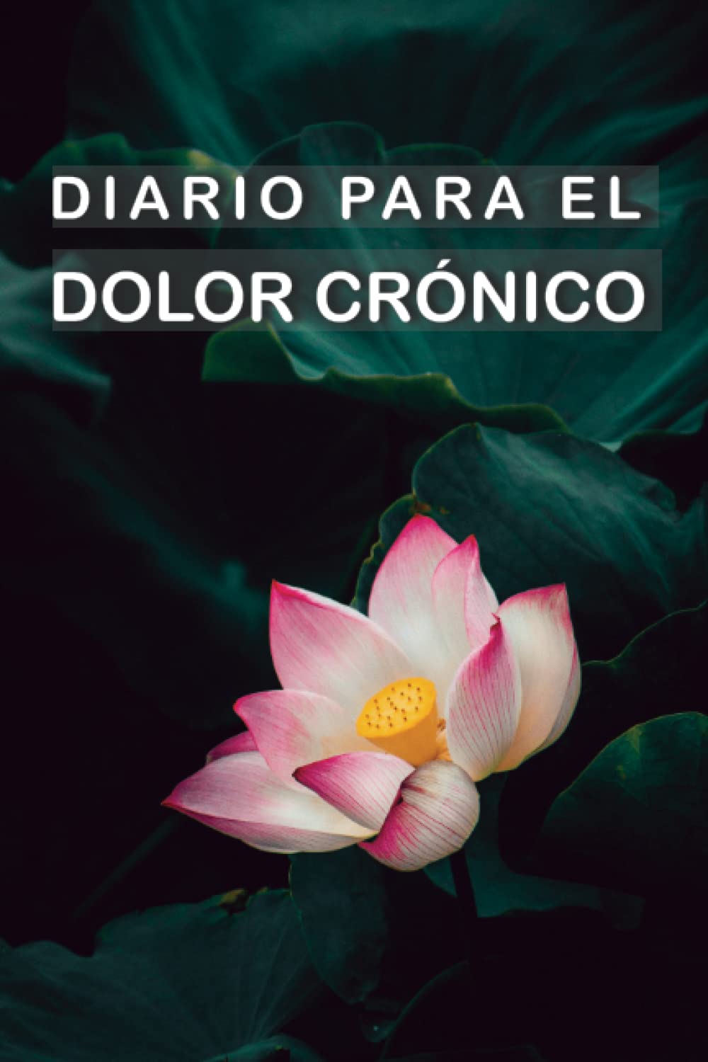 Diario Para El Dolor Cronico Utilice Todos Los Dias Para | Desertcart OMAN