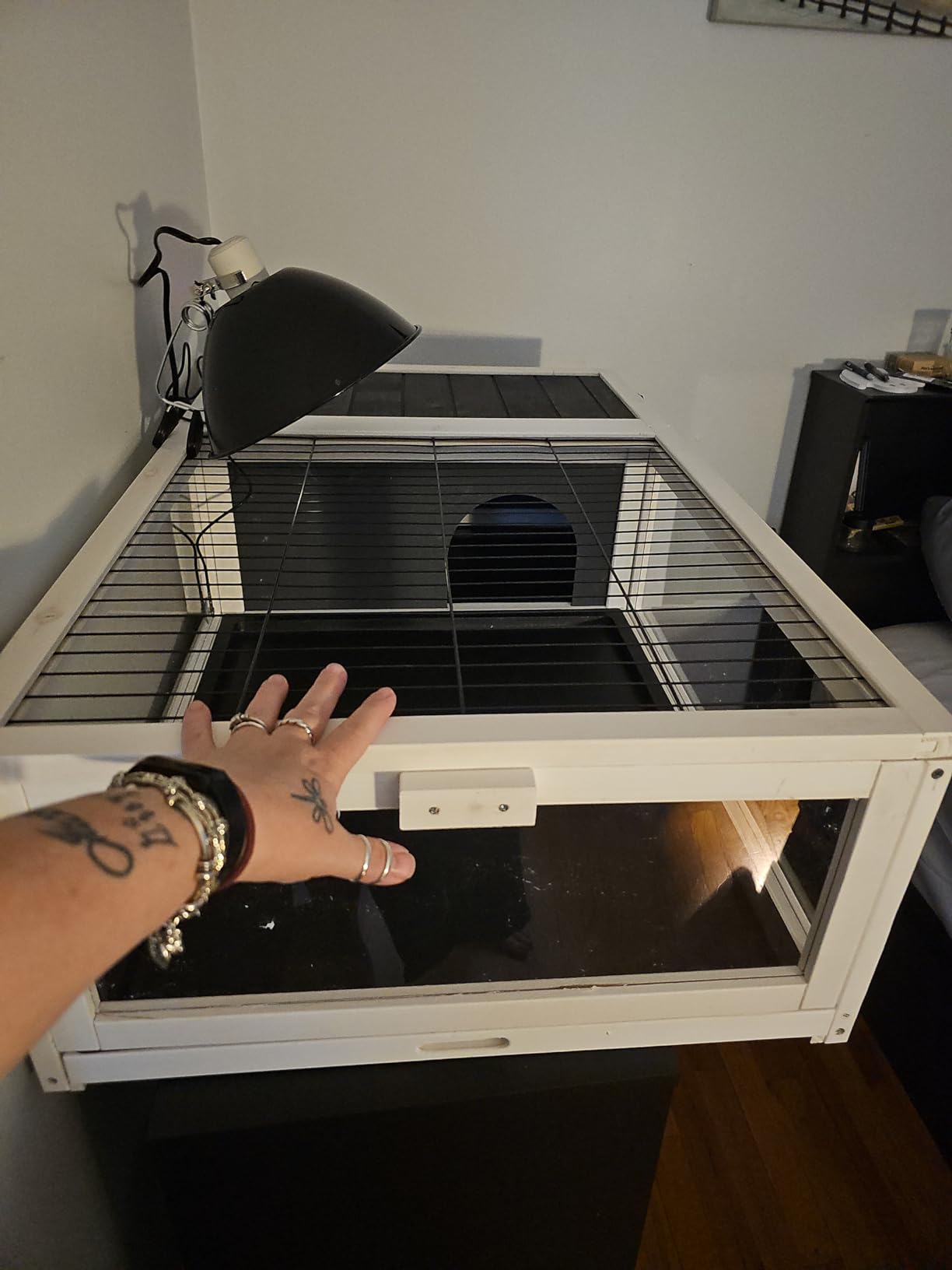 Amazon.com : Tortoise Habitat, Large Wooden Box Turtle Enclosure with ...