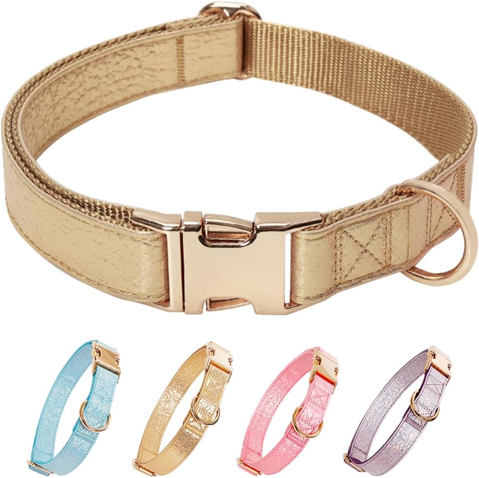 Amazon.com : ZQDJ Glare Gold Dog Collar Leather and Nylon Double Layer ...